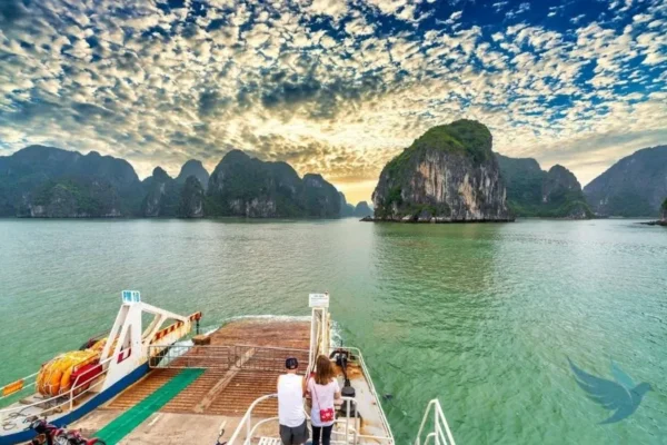 Hanoi To Cat Ba Island By Private Car Transfer - VNT Travel & Transport