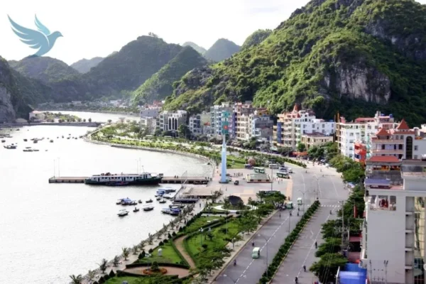 Hanoi To Cat Ba Island By Private Car Transfer - VNT Travel & Transport