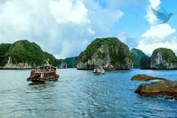 Hanoi To Cat Ba Island By Private Car Transfer - VNT Travel & Transport